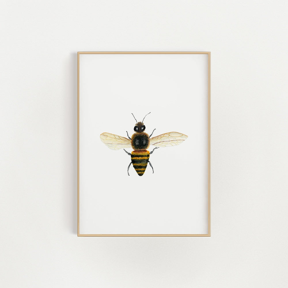 Honey Bee Print – Finding Silver Pennies