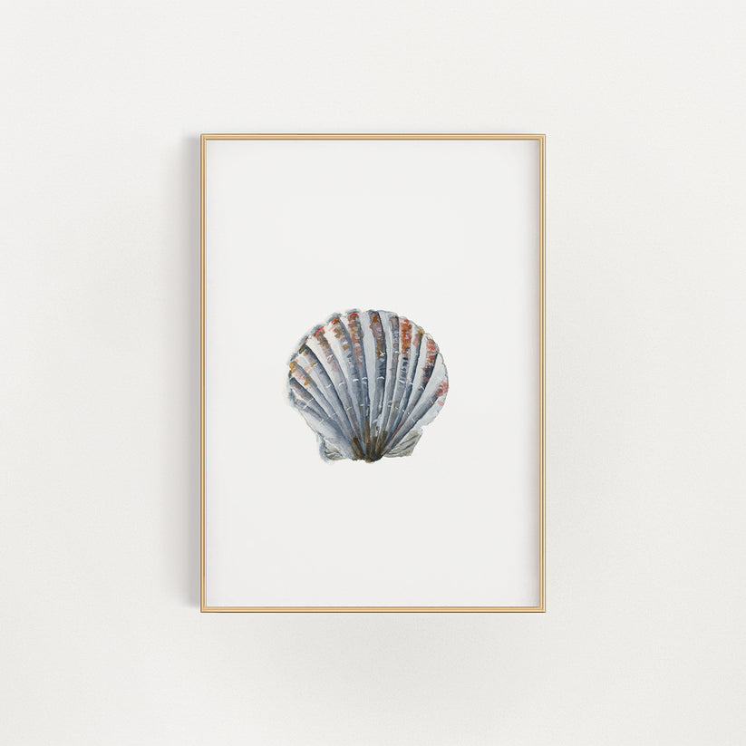 Scallop Shell Print – Finding Silver Pennies